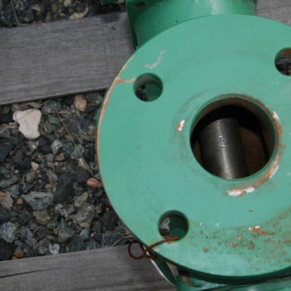 2" Bornemann Vertical Screw Pumps - Nelson Machinery & Equipment Ltd.