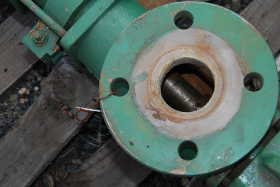 2" Bornemann Vertical Screw Pumps - Nelson Machinery & Equipment Ltd.