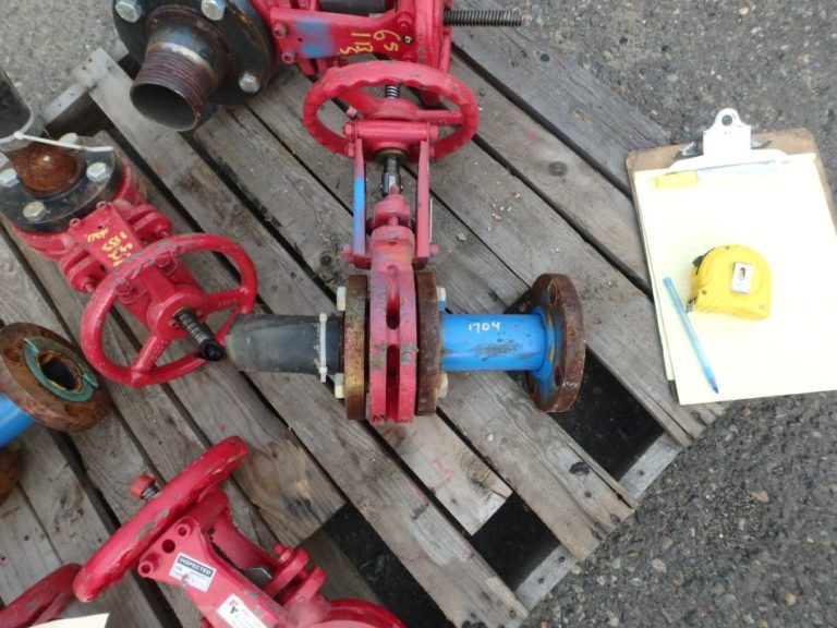 2" Red Stainless Steel Gate Valves - Nelson Machinery & Equipment Ltd.